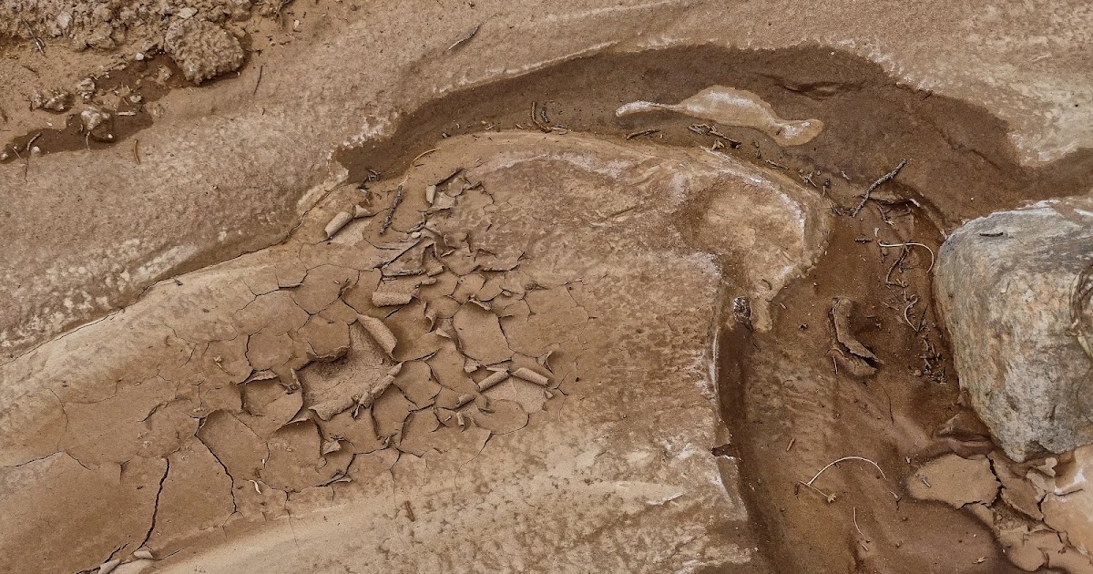 Walking Arizona: Dried Mud Still Life