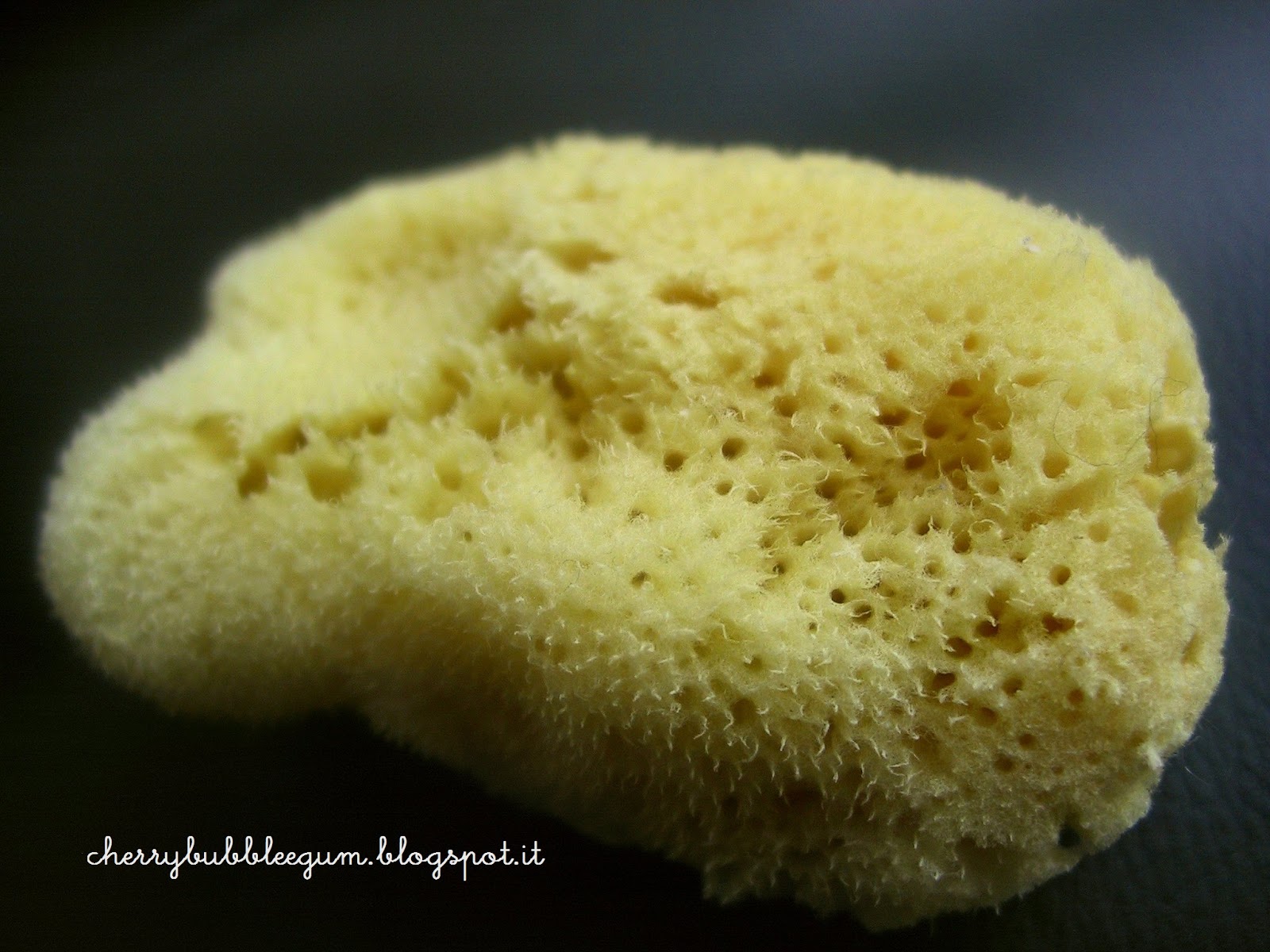 Bambi Organics : Spugna Naturale "Silk"