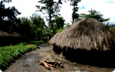 Mengenal Rumah Honai | Mengenal Budaya di Indonesia