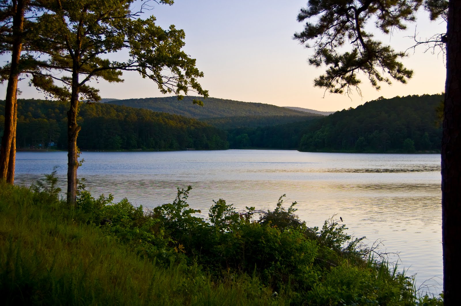 Andrus Adventures: Ouachita National Forest (Oklahoma) Andrus Adventures: Ouachita National Forest (Oklahoma)