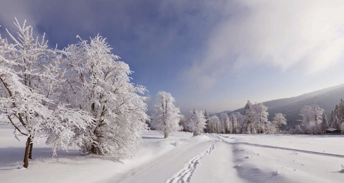Que Son Las Nevadas ¿cómo Se Forma Una Tormenta De Nieve? - Prefixword
