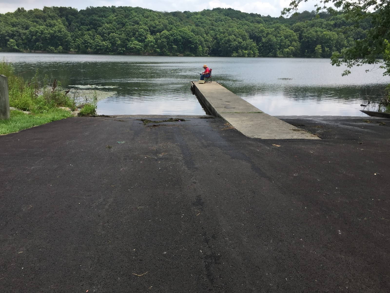 Kayaking Across Ohio: Lake Rupert: Damselflies' Playground