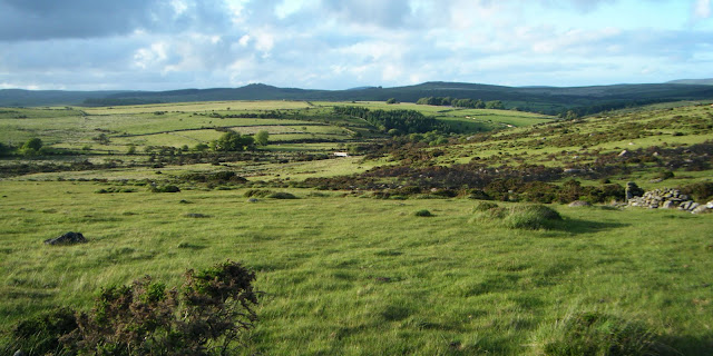 My Dartmoor Walks: Wednesday 8th June Hexworthy