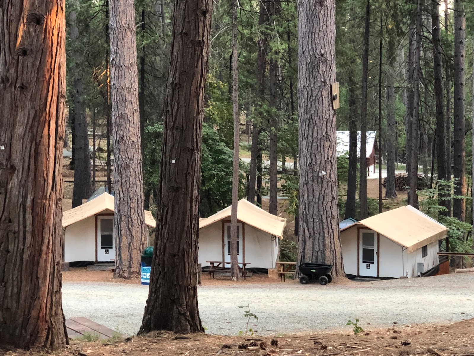 Glamping Tents and More at Inn Town Campground — The Southern Glamper