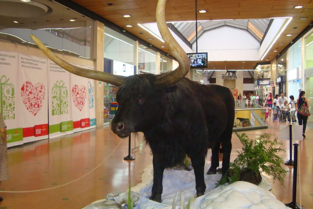 CRIATURAS Y HUMANOIDES: EN BUSCA DEL URO Y LOS ORÍGENES DEL TORO