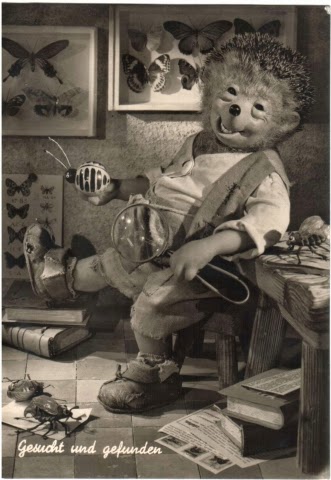 Zatrzymać czas: JERZYK MECKI