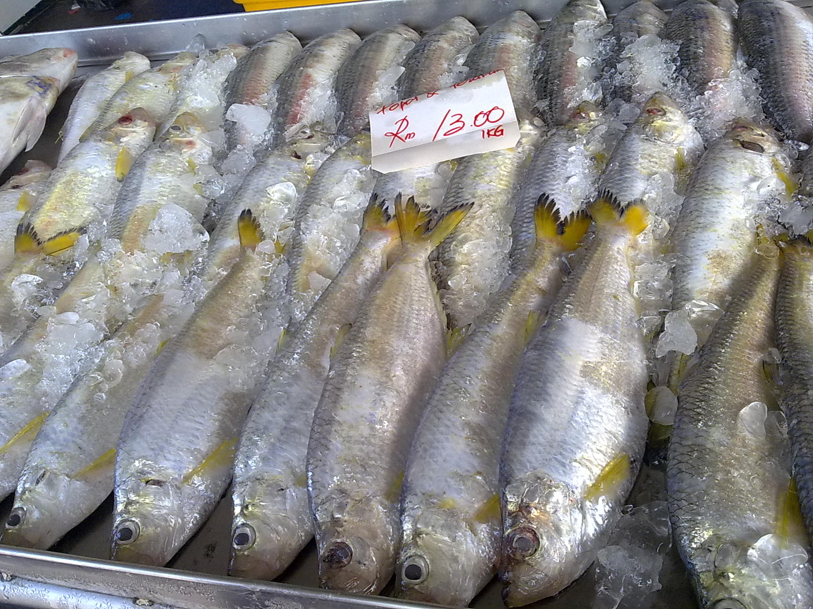 Memaknakan kehidupan dengan banyak memberi...: ikan segar di Goebilt...