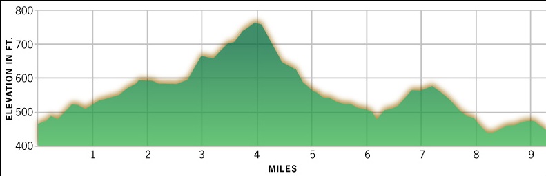See Dane Run: Boilermaker 15k Recap