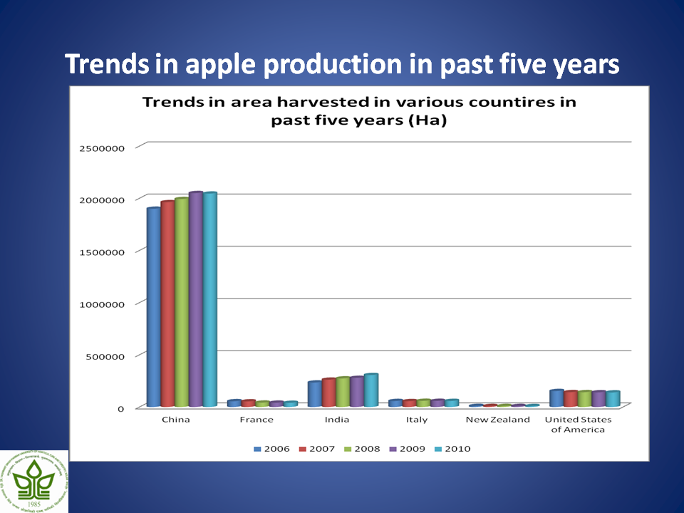 Farmers Club: Apple Tree: High Density Apple Plantations: Why?