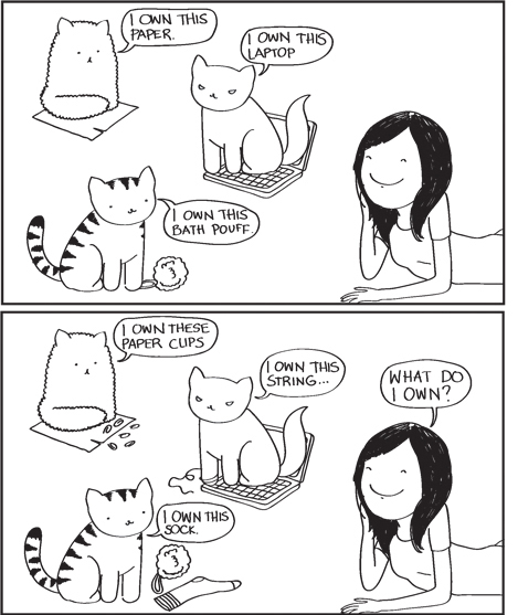 cat versus human