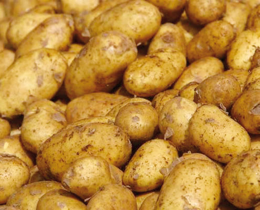 Come Fare il Purè di patate, la ricetta facile.