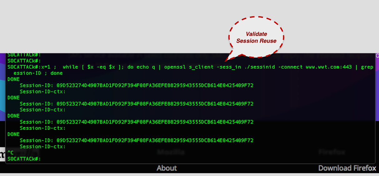 Ken Felix Security Blog: Validate TLS session-ID reuse Ken Felix Security Blog: Validate TLS session-ID reuse