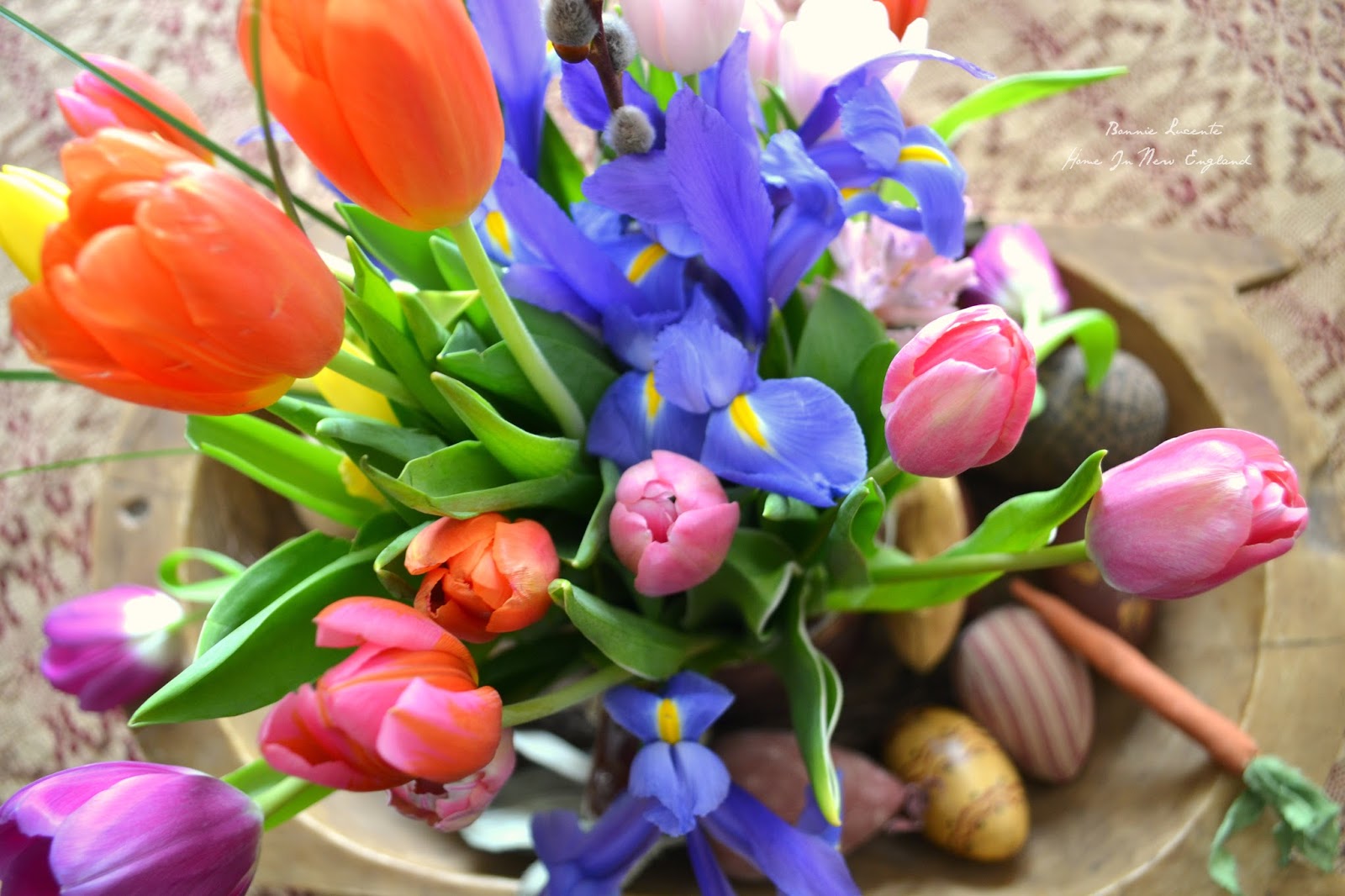 Home in New England: Spring in New England