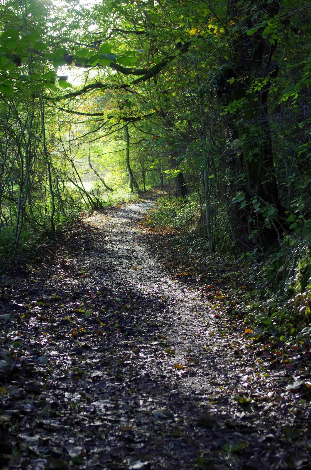 Out & About: Calver Mill and Weir