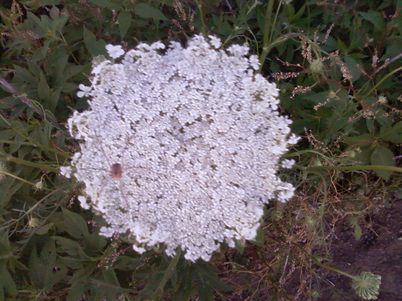 Beam The Light Be The Change: A Healing Journey Part Four: Pictorial