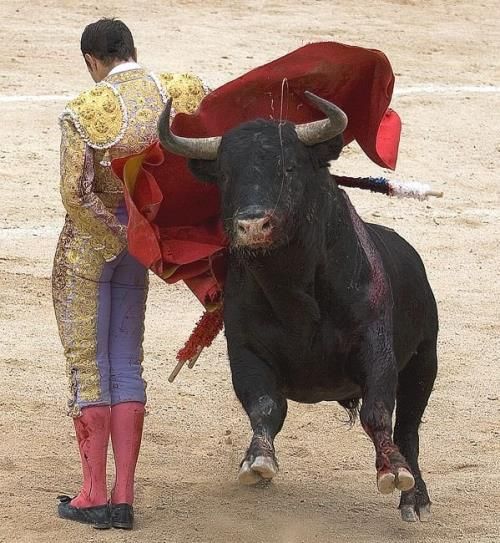 the Colours of bullfighting