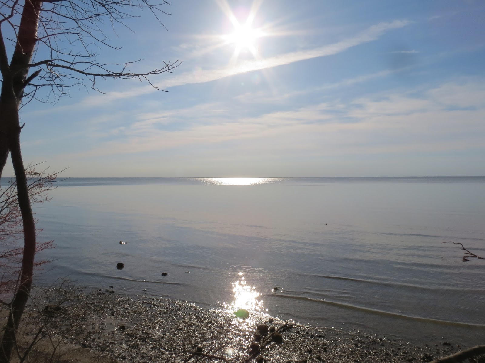 Viewing nature with Eileen: North Point State Park