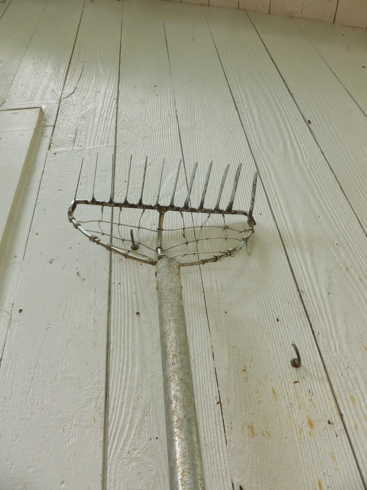 Ocracoke Island Journal: Clam Rakes