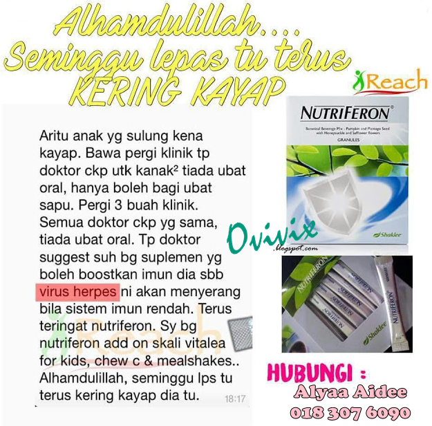 Atasi Masalah Kayap dengan Cepat Tanpa Meninggalkan Parut