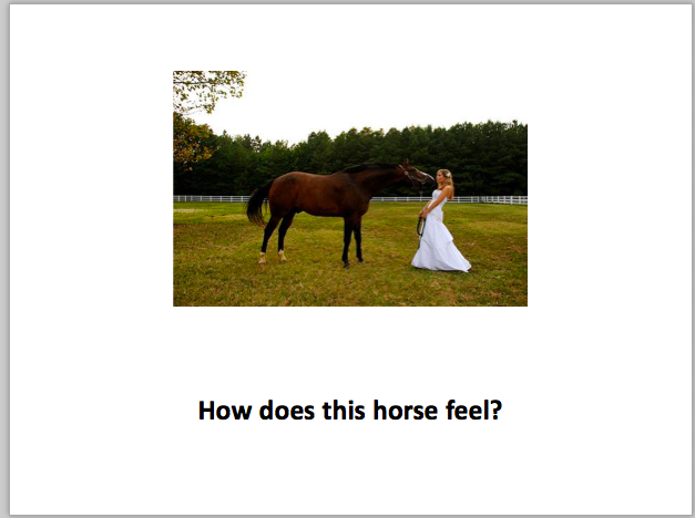 Chapel Hill Snippets: How do Horses Feel? Printable book with icons (Free)
