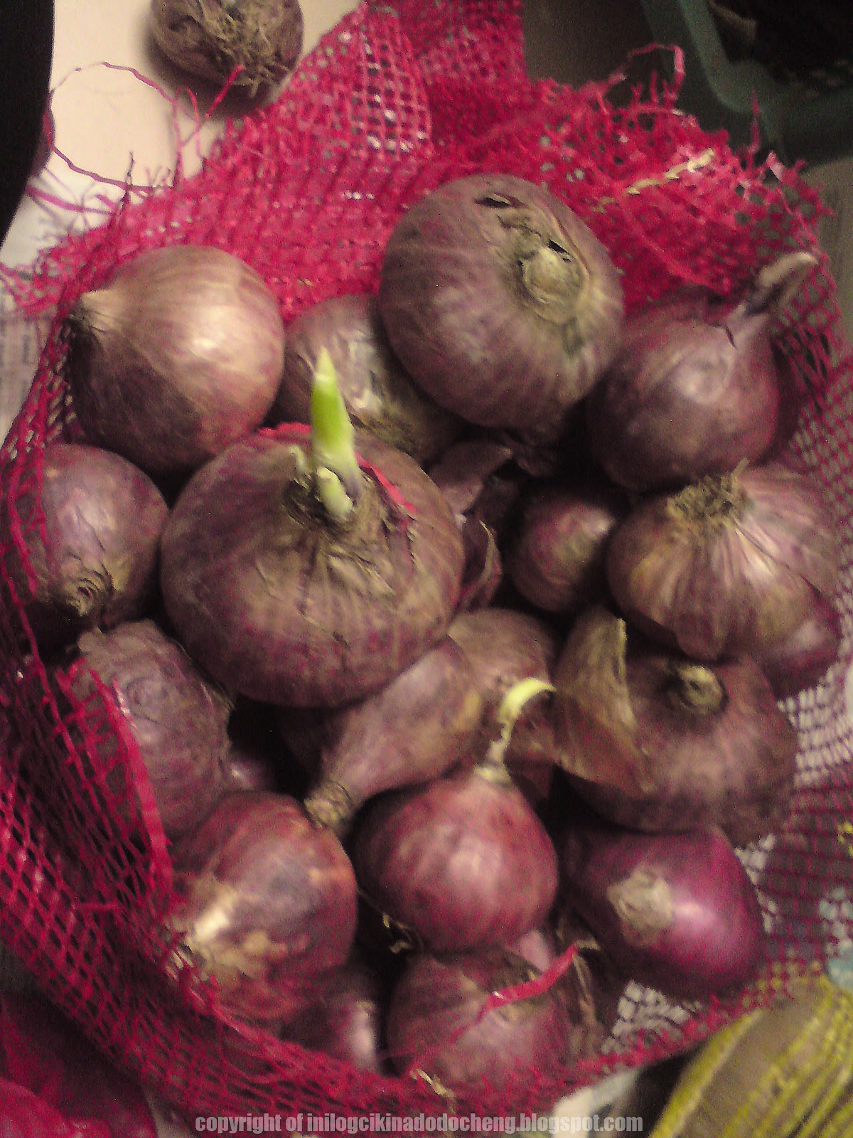 blog cik ina do do cheng: cara menanam daun bawang dan pokok kentang ...