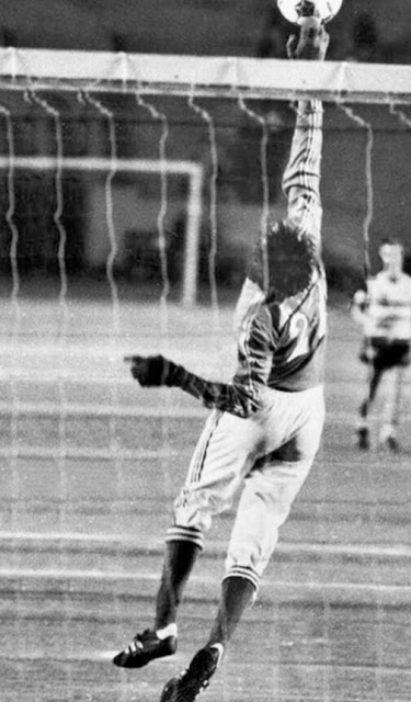 TAMPA BAY ROWDIES APPRECIATION BLOG (1975 to 1993): Rowdies Press Photo ...