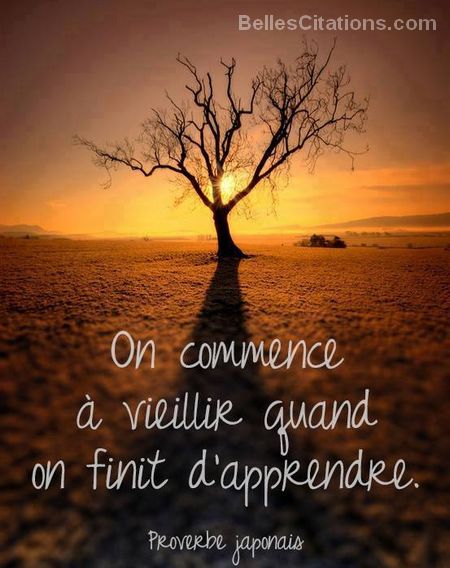 [64+] Succes Citations Et Proverbes Gratuit | CitesSites