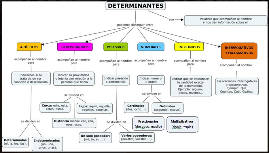 Tercer Ciclo Primaria : LOS DETERMINANTES
