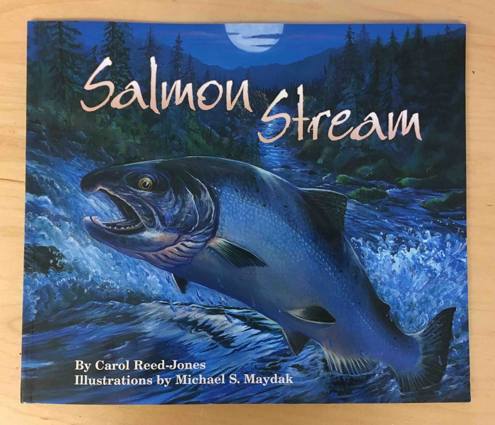 Salmon Stream: read and code (offline) - rubber boots and elf shoes