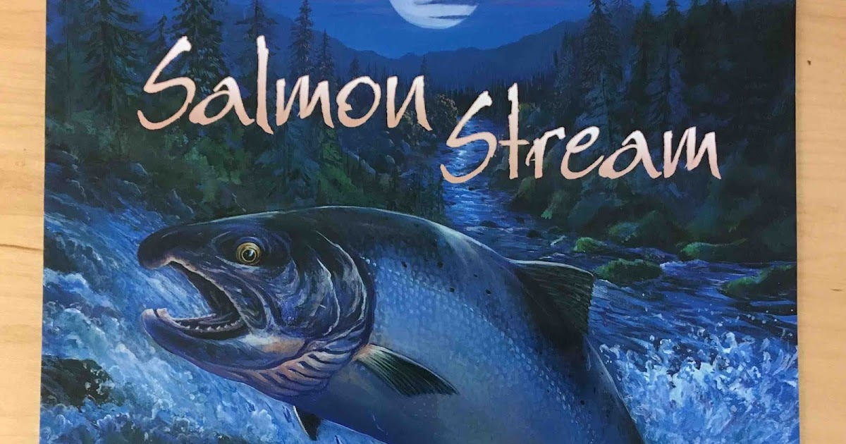 Salmon Stream: read and code (offline) - rubber boots and elf shoes