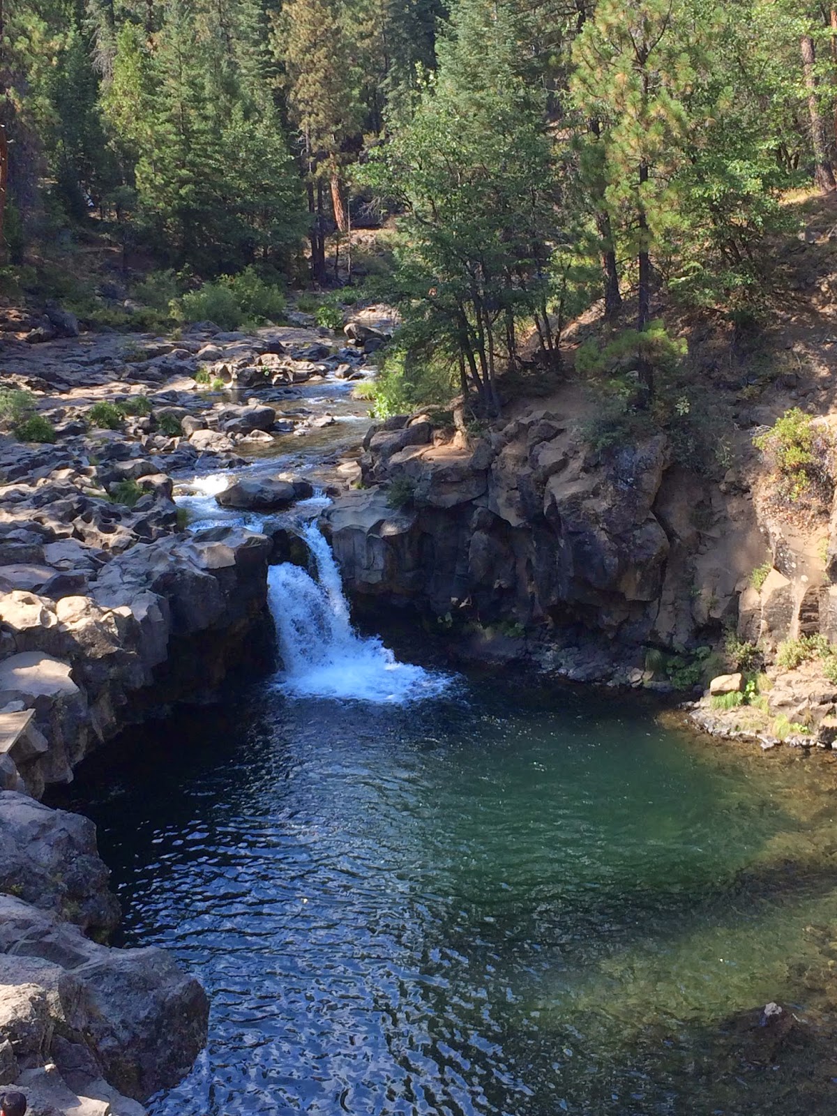 A California Journey