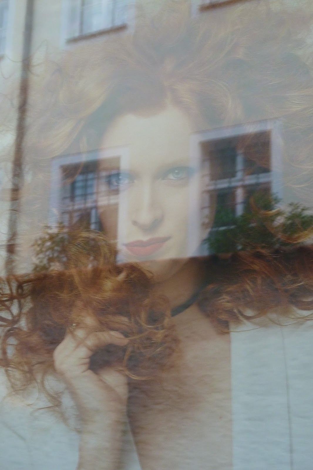 Lyssa humana: Window faces