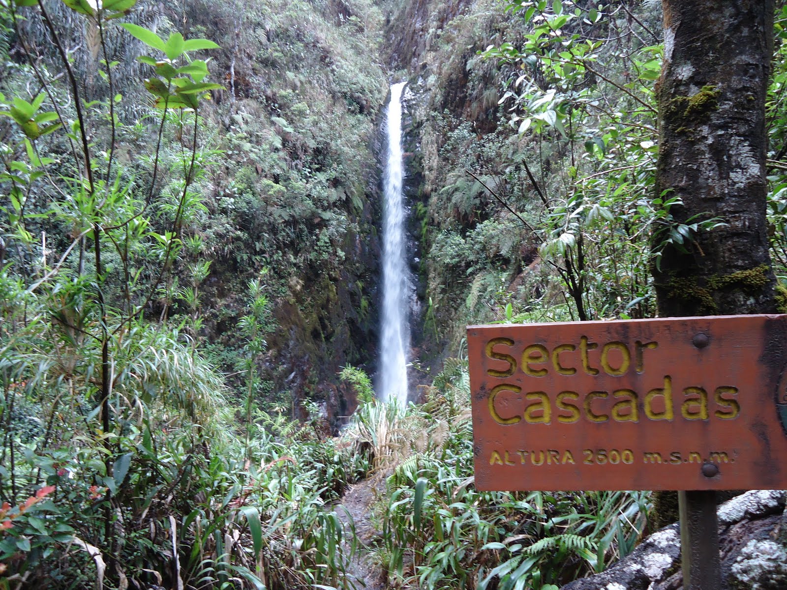 De turismo por Santuario Risaralda