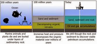 savvy-chemist: Crude Oil (2): How did petroleum form?