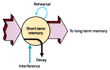 Blogger. com: George Armitage Miller