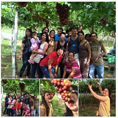 Popular Manila: Grape Picking Farm at La Union Philippines