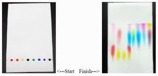 Teknik Pemisahan-Kromatografi: Kromatografi Lapis Tipis-Densitometri