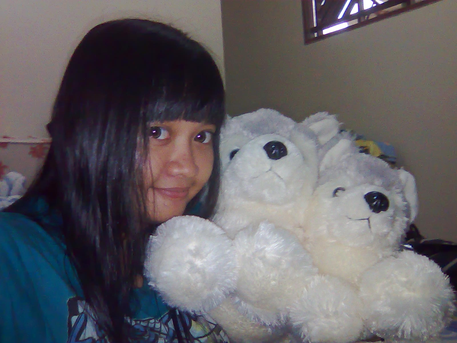 Everything: Koleksi Boneka Serigala atau Siberian Husky