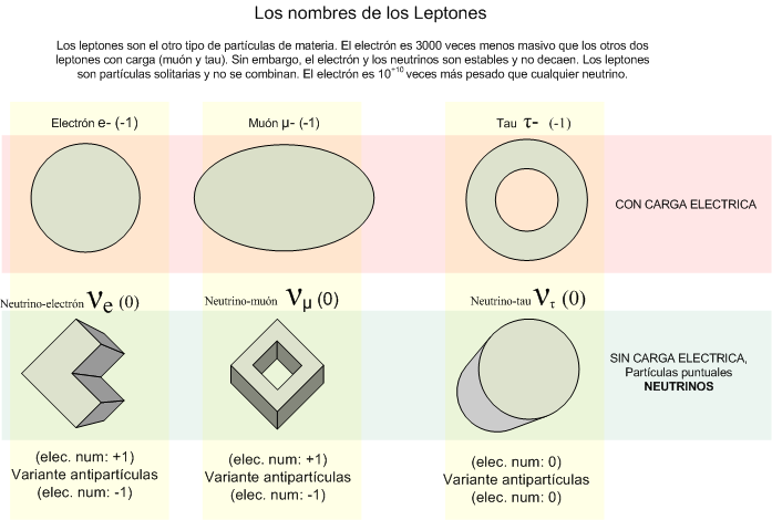 Partículas Elementales: Los Fermiones