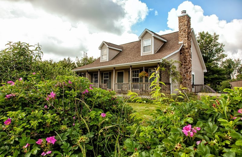 Homestead Hill Farm: All the Things You Don't Know