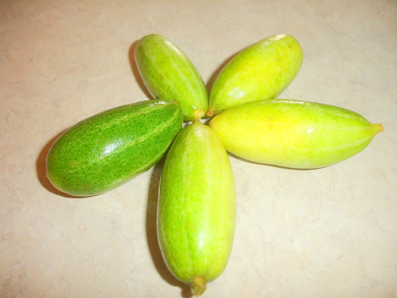 VineelaSiva: Potals Fry(Parval fry curry)