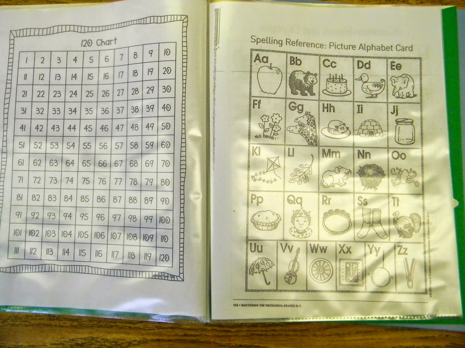 The Power of Primary Learning: And We're Back!