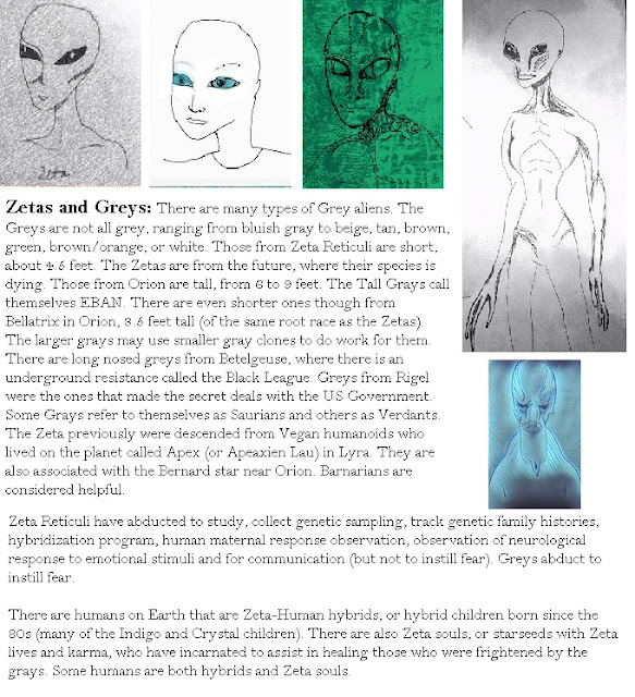 Greys and Zeta Soul Starseeds | Fixed Stars