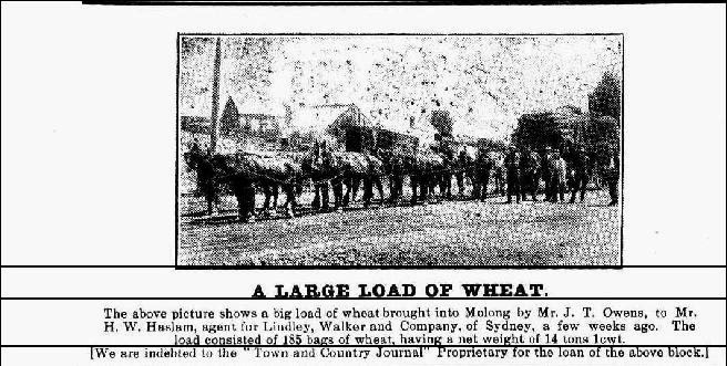 Nancy Joh leathem: **The MOLONG "EXPRESS" and it's founding Parents. (2 ...