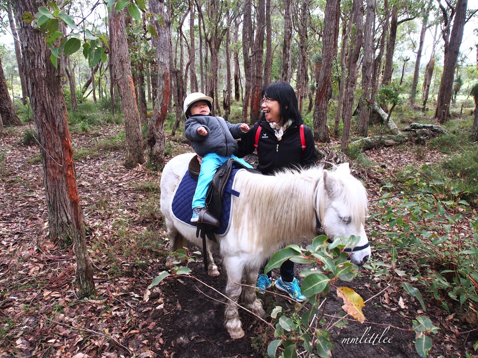 Western Australia For Kids