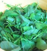 Petak Semai: SAYUR PUCUK MERANTI