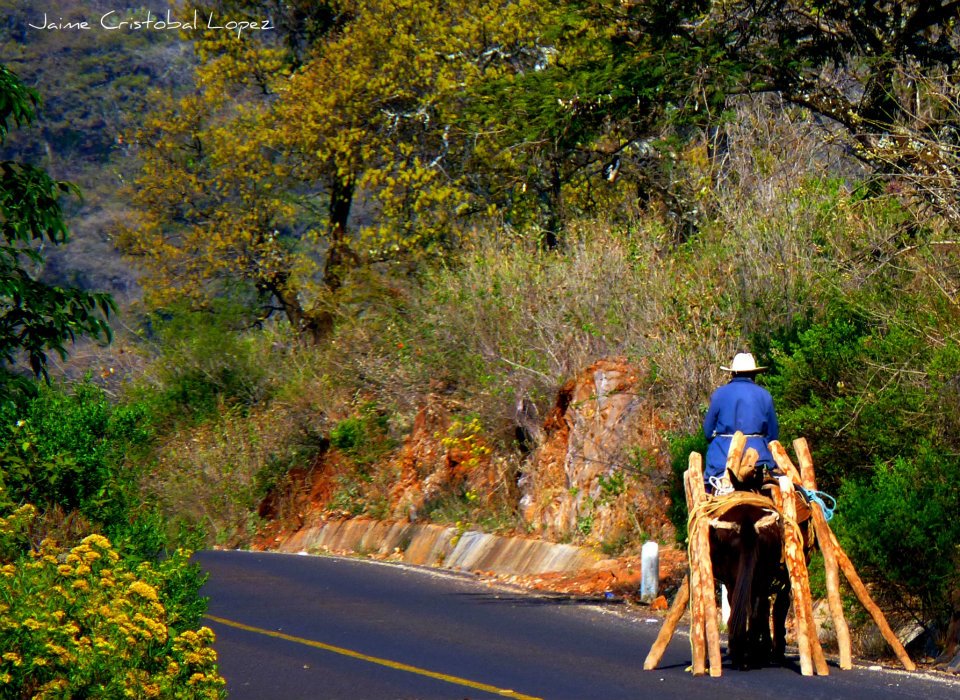 Jaime Ramos Méndez: Arriero de madera en Tarecuato, Michoacán ...