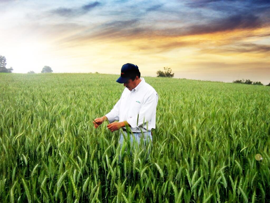 ¿Qúe es la agronomía