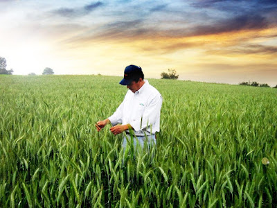 ¿Qúe es la agronomía