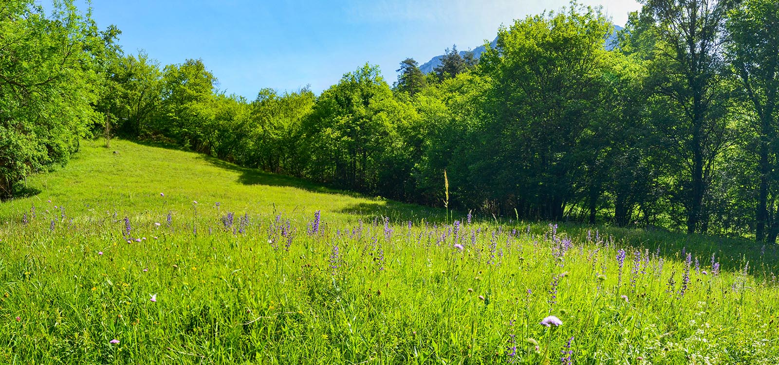 DROMESCAPE - Randonnées en Drôme et Escapades photographiques: Autour ...
